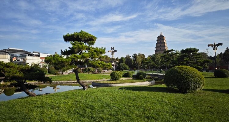 Giant Wild Goose Pagoda in Xi'an: How to Visit (by a Local Guide)