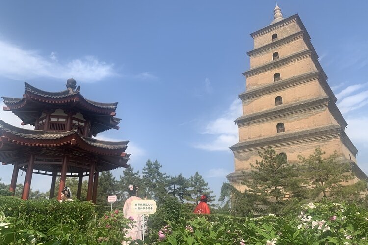 Giant Wild Goose Pagoda in Xi'an: How to Visit (by a Local Guide)