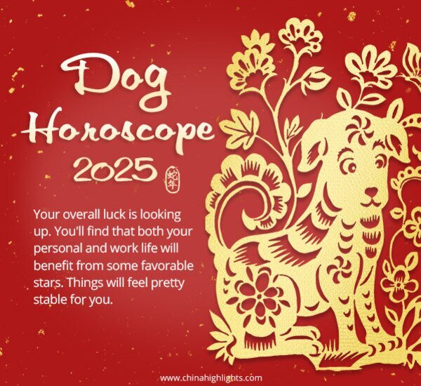 Personality of dog chinese zodiac 60 photos - Youhoroscope.com
