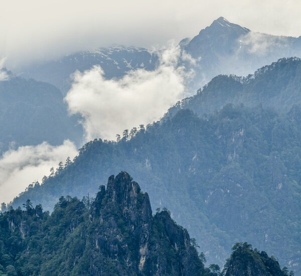Yunnan's Gaoligong Mountain: a Hiking Trip in Pristine Nature