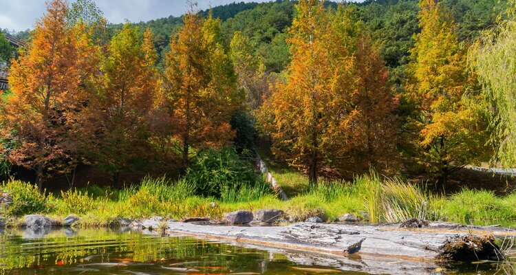 Taiwan Weather in November 2026, Temperature, Things to do