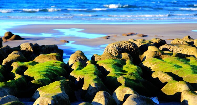 Taiwan Weather in April 2026, Temperatures, Things to do