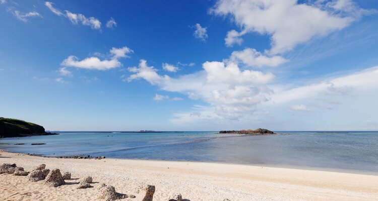 Taiwan Weather in August 2026, Temperature, Things to do