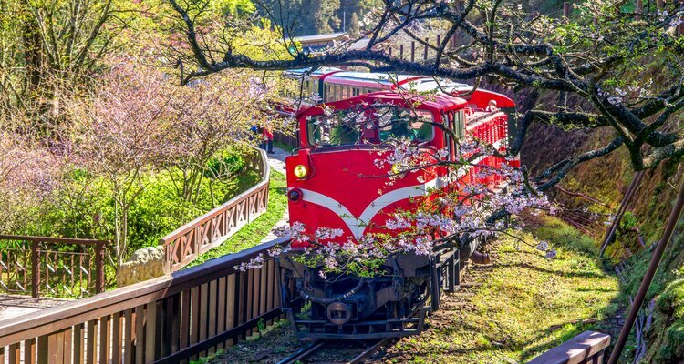 Taiwan Weather in March 2026, Festivals, Things to do