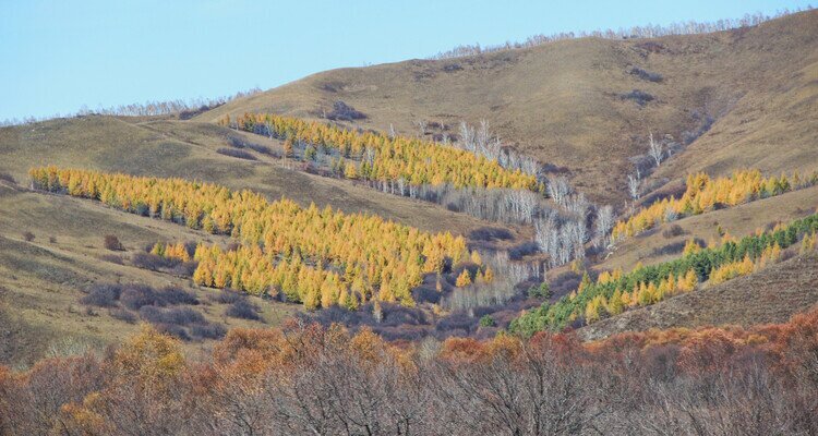 How to Plan a Trip to Harbin and Mohe