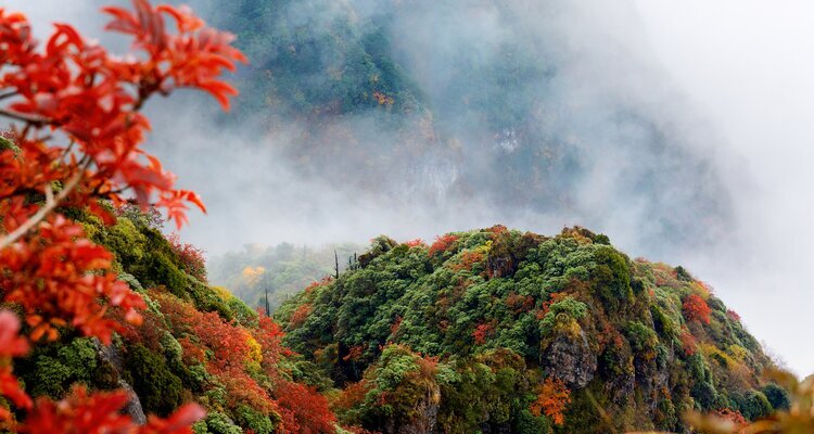 Chengdu Weather in October 2026: Travel Tips