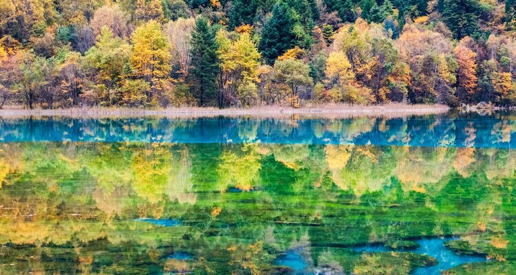 Chengdu Weather in October 2026: Travel Tips