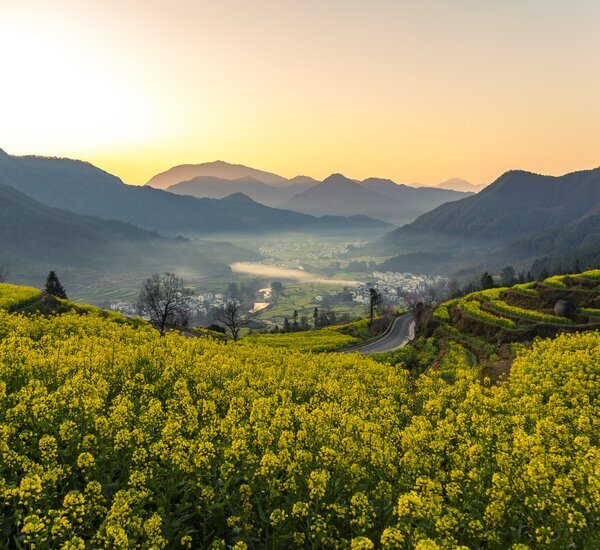 9-Day Huangshan, Wuyuan, Suzhou, and Shanghai Spring Tour