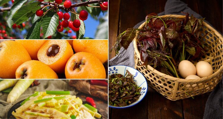 Chengdu Weather in April 2026: the Best Time to Visit