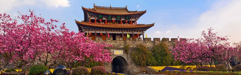 Kunming Weather: Best Time to Visit for Scenery, Costs, and More (2026)